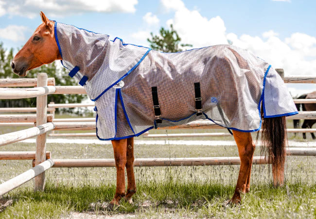 Buzz Off Fly Sheet – Rhinestone Acres